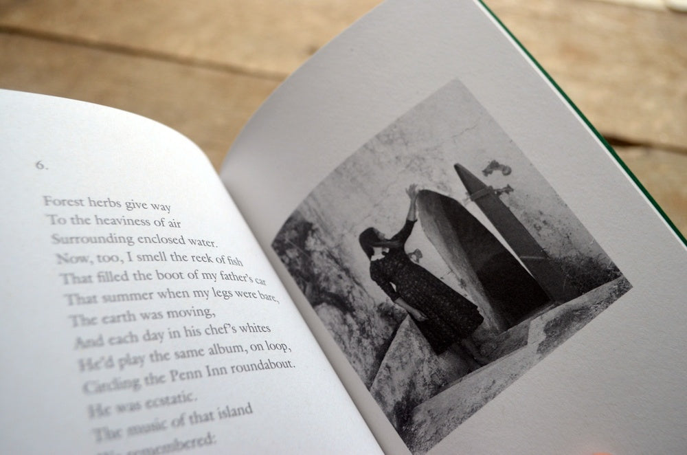When I Was Furthest from Water by Joanna Hruby (with Michaela Meadow)