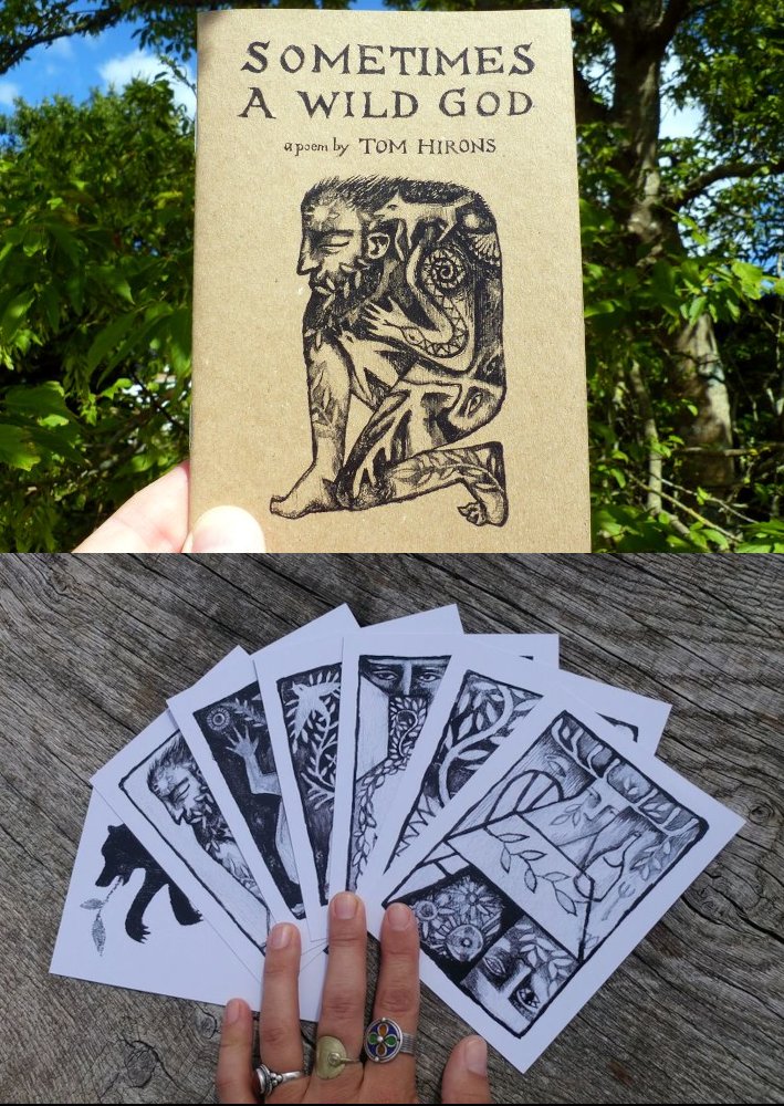 Sometimes a Wild God - the book AND postcard set – Hedgespoken Press